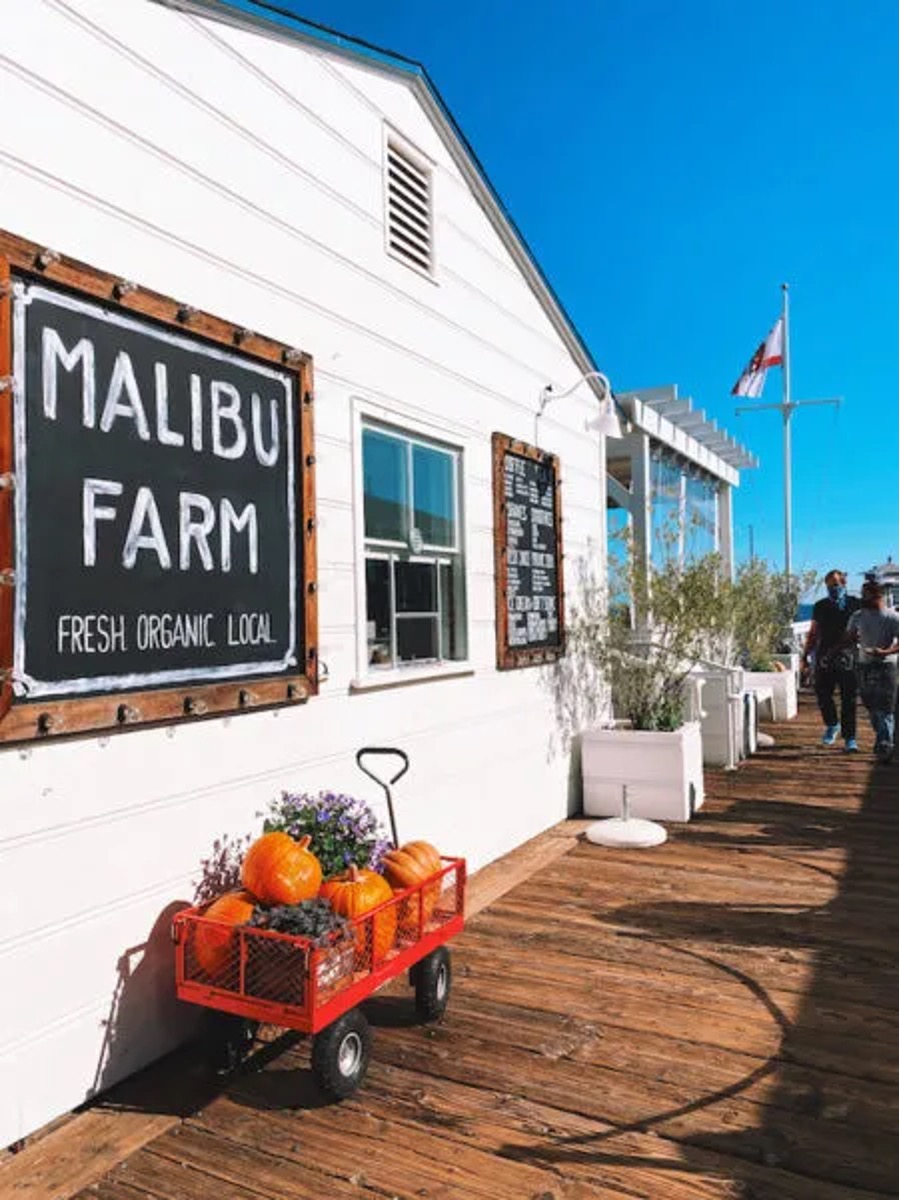 Malibu Farm – Nicole's Notes
